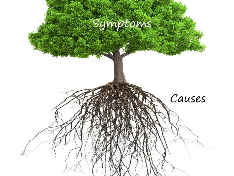 Getting to the Root Cause of Your Symptoms - Dr. Tina Marcantel, RN, ND
